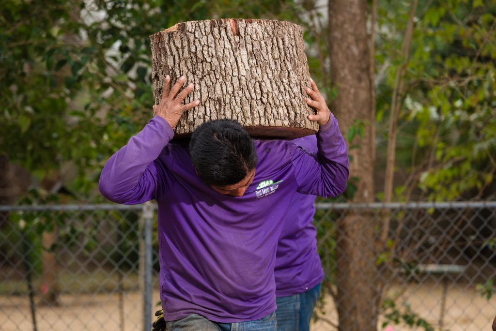 Blog | Sid Mourning Tree Service
