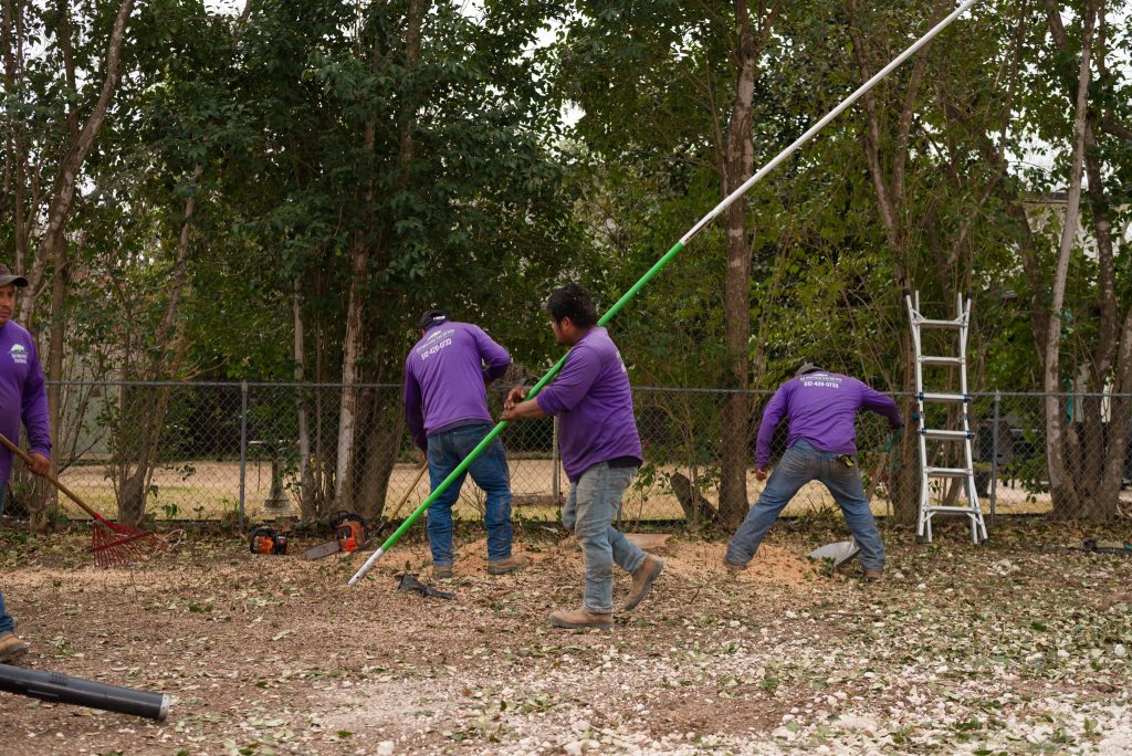 Lakeway | Sid Mourning Tree Service